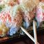 Menu of Yummi Japan